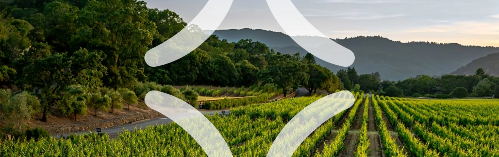 Our pledge to become carbon neutral by 2050 – Vinexposium